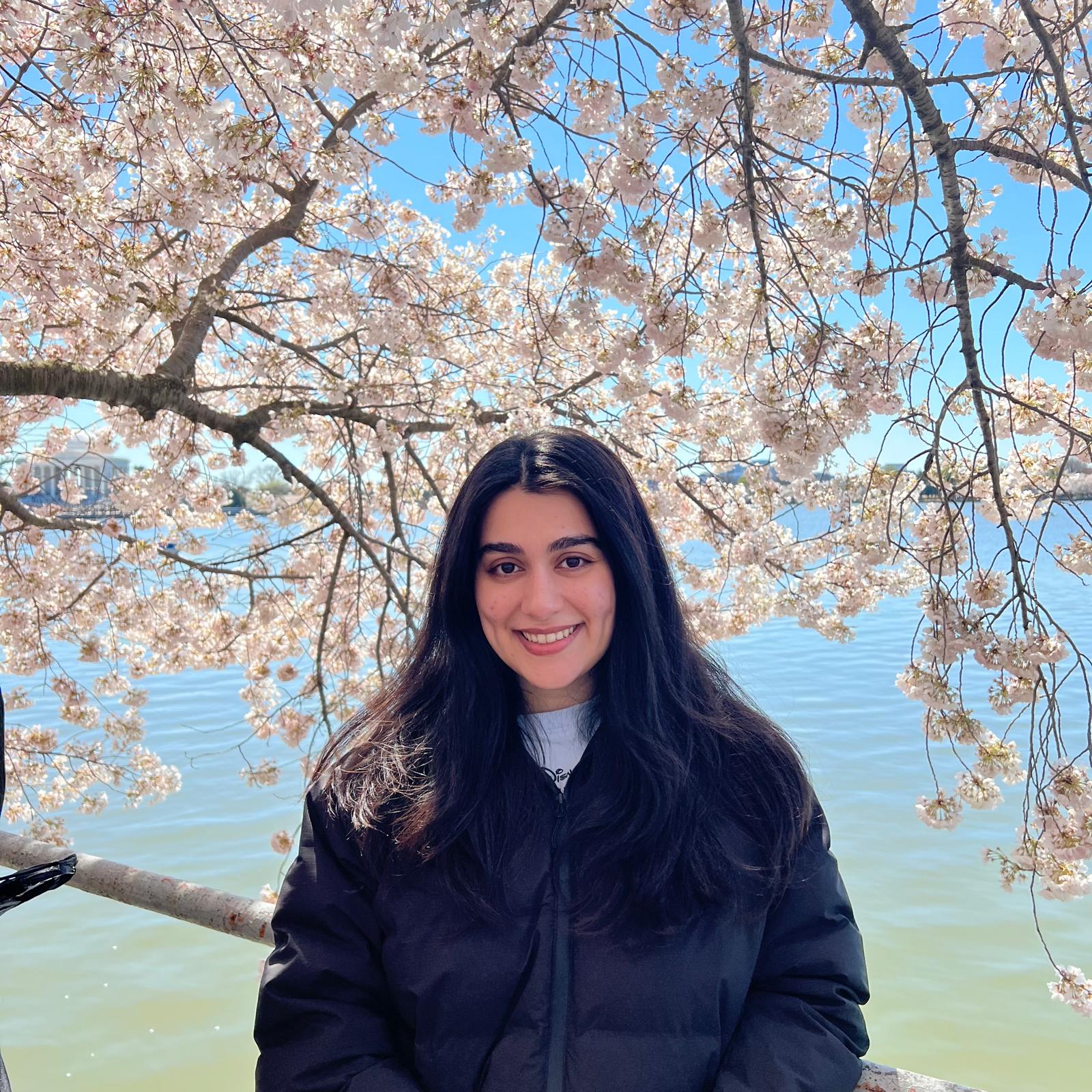 Collaborative Controls and Robotics Lab